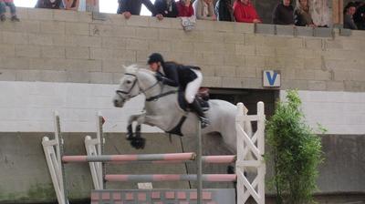 Téteghem : Fabien Sposito, cavalier émérite du premier concours de saut ...