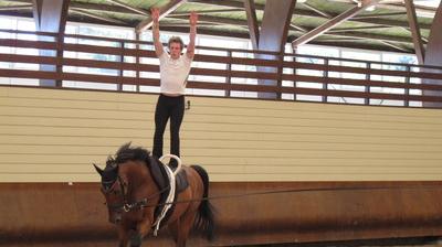 Écuires : la passion galopante de Benjamin Marchand, voltigeur depuis dix ans (VIDÉO) - La Voix ...