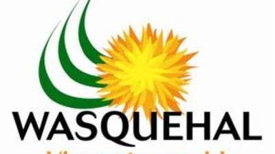 Bientôt un nouveau logo pour Wasquehal - La Voix du Nord