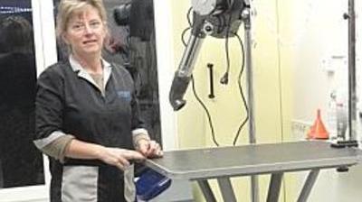 Patricia Poulet a changé de métier pour le plaisir de chouchouter - La ...